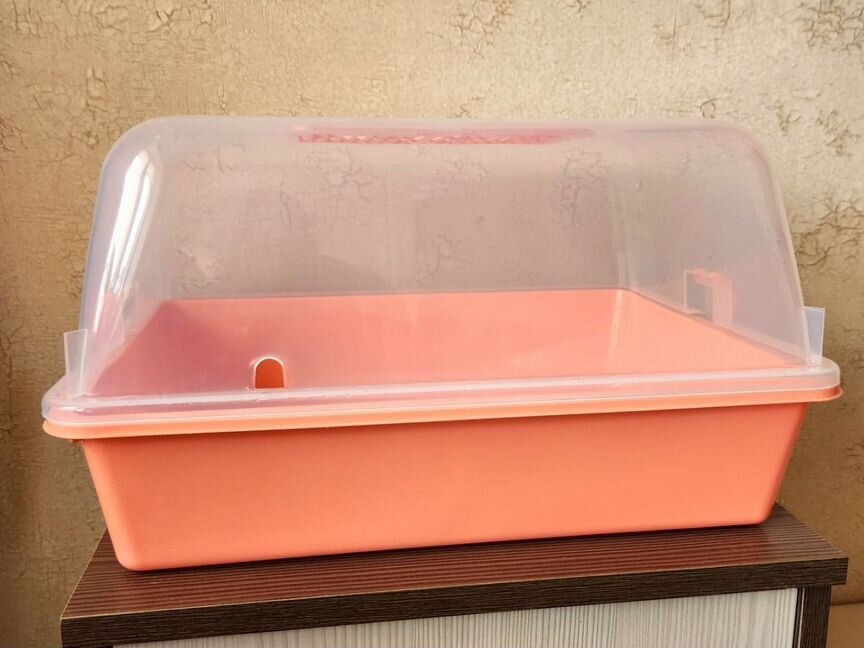 Террариум для улиток