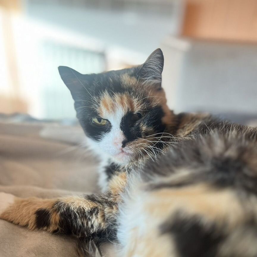 Маруся уже 3 года живёт в приюте