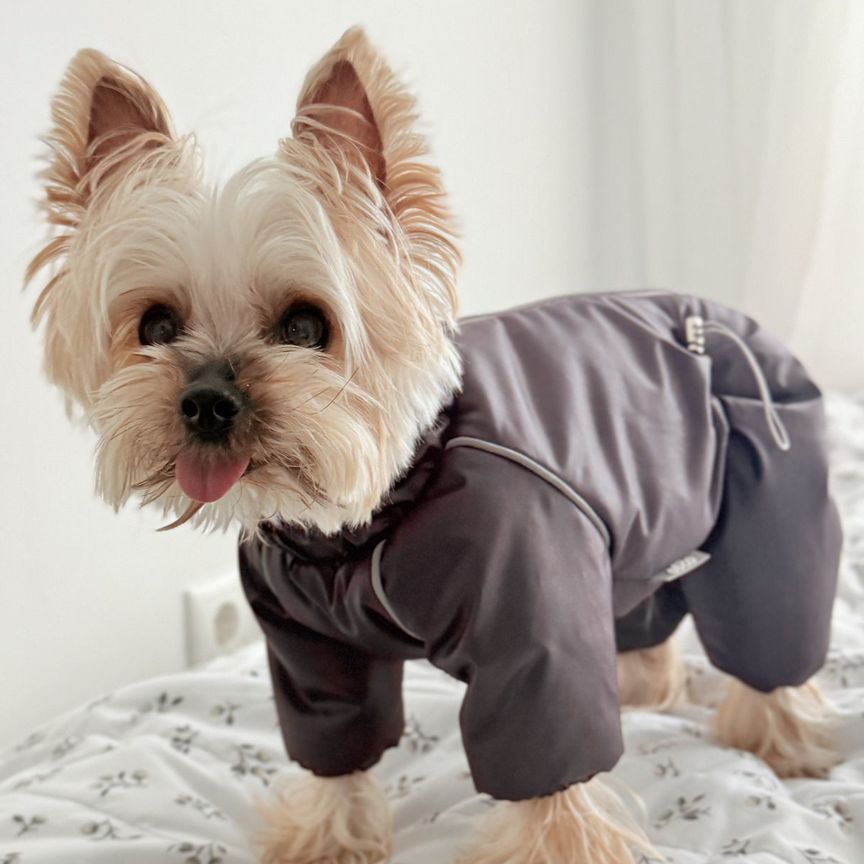 Комбинезон для собак, мальчик 28 см