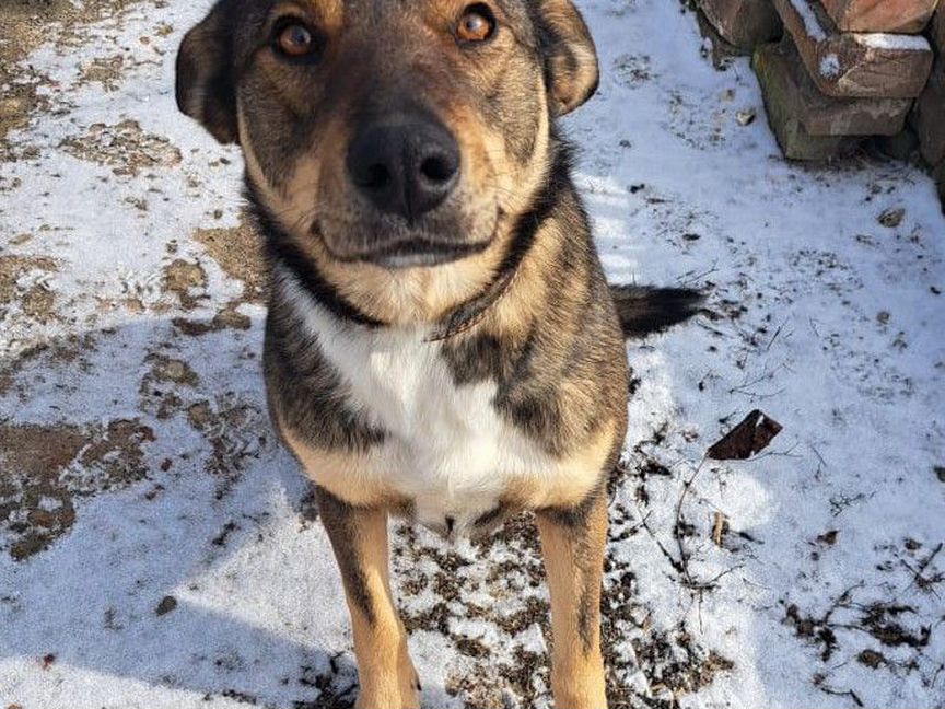 Найда охранница ищет семью