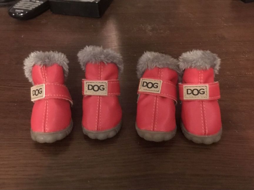 Ботинки на маленькую собачку