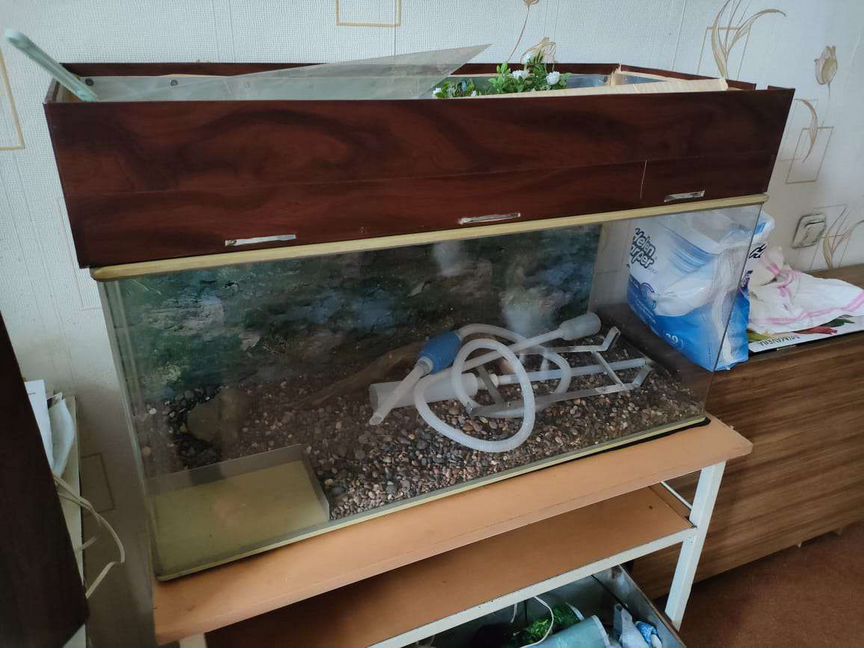 Аквариумы 100л, 60л, 25 + тумба