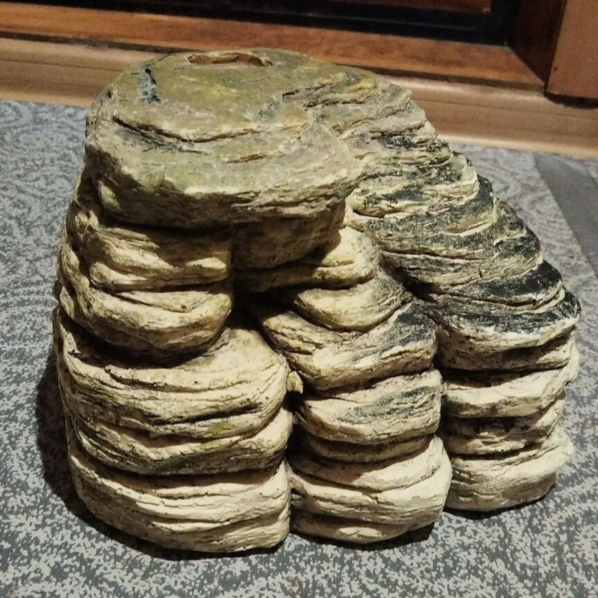 Берег в аквариум