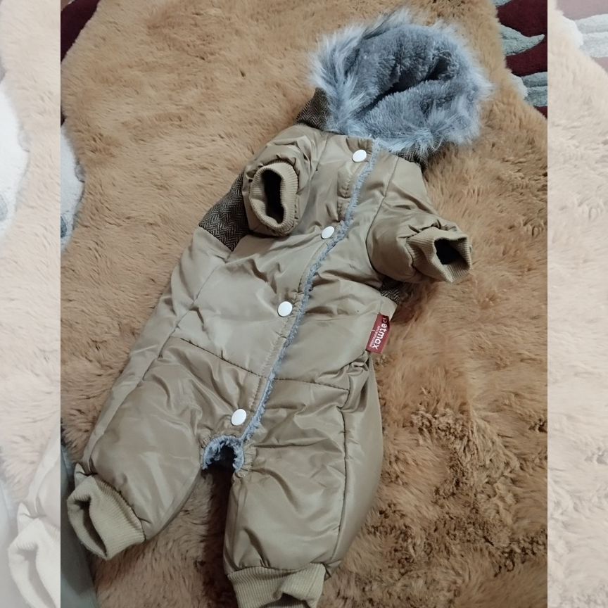 Одежда для собак мелких пород