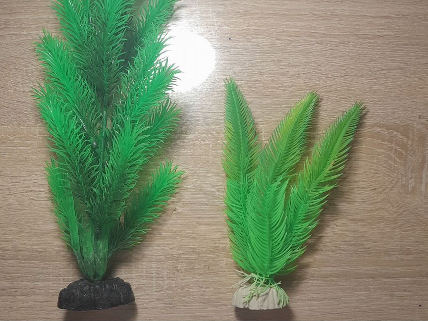 Водоросли для аквариума(декор)