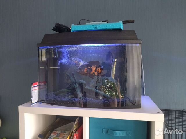 Аквариум