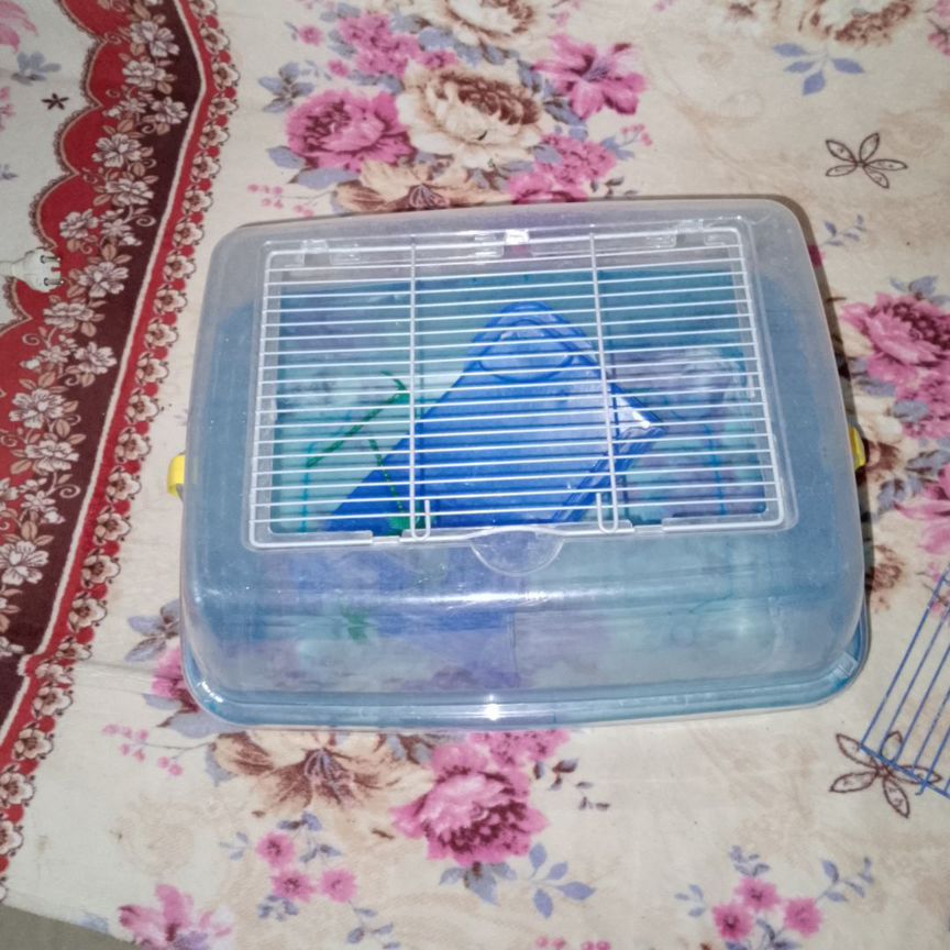 Домик для черепахи