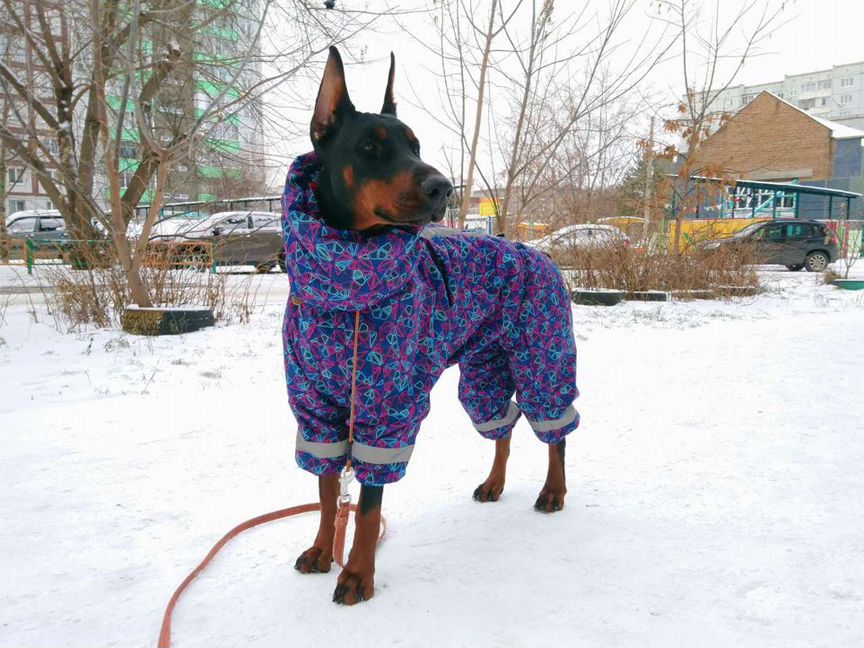 Зимний комбинезон на большую собаку