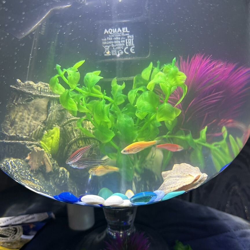 Аквариум с рыбками