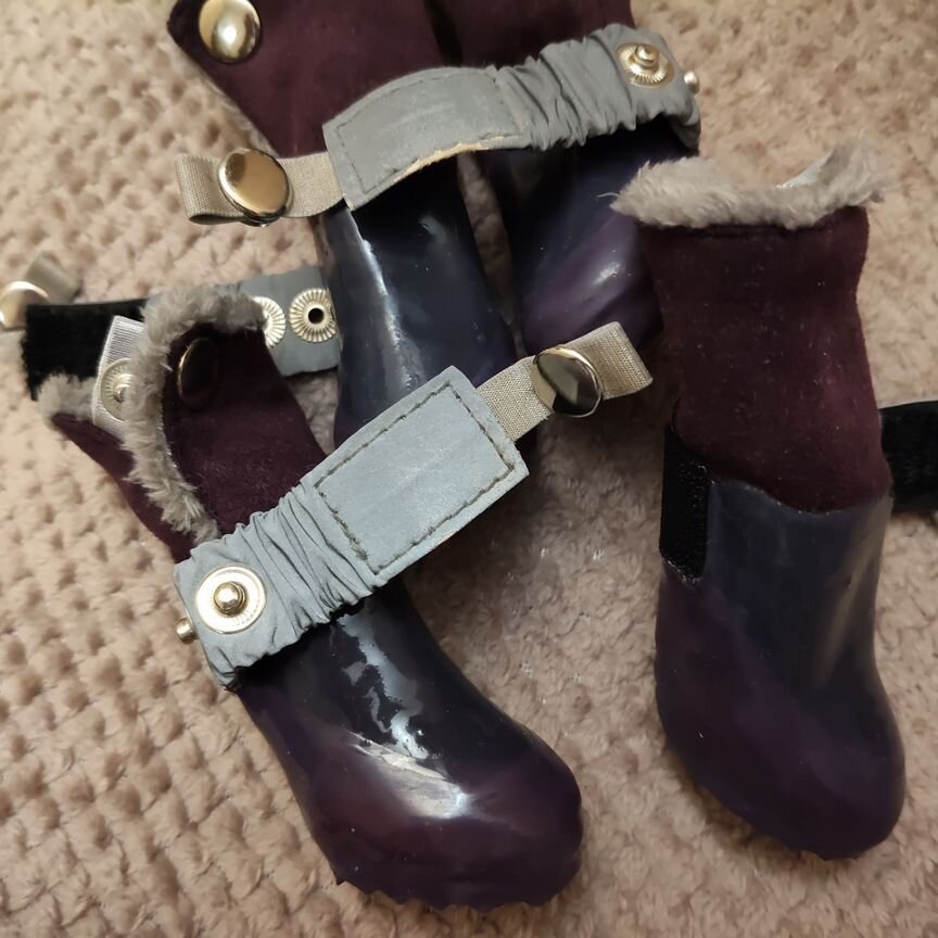 Обувь для маленьких собак