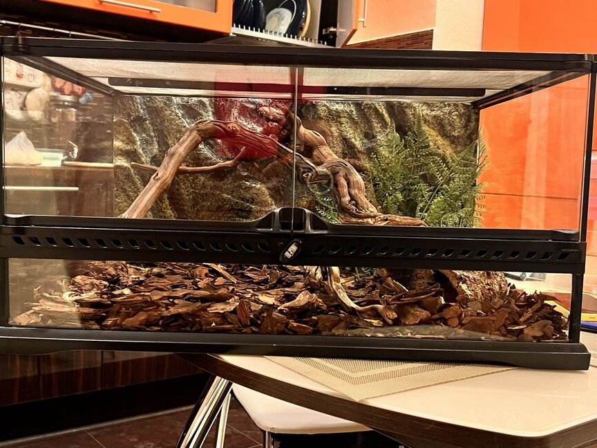 Террариум exo terra 60x45x30