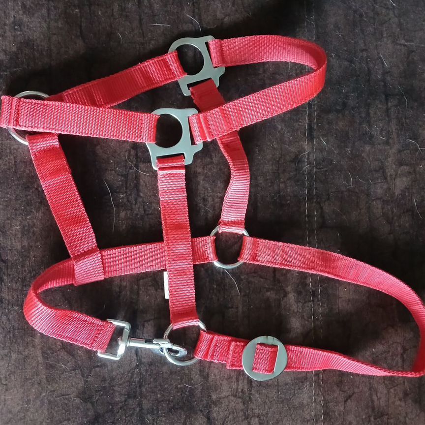 Недоуздок для пони