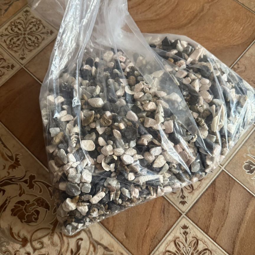 Грунт для аквариума с ракушками