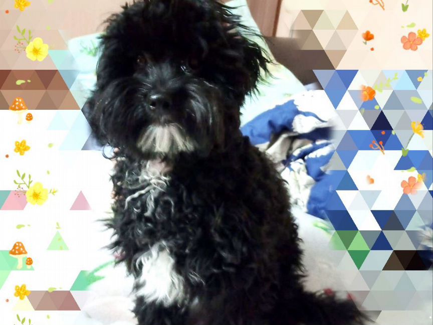 Чёрные бриллиантики