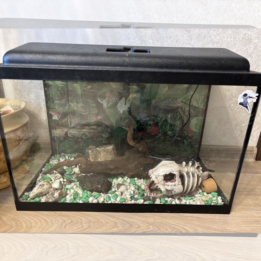 Аквариум 55л