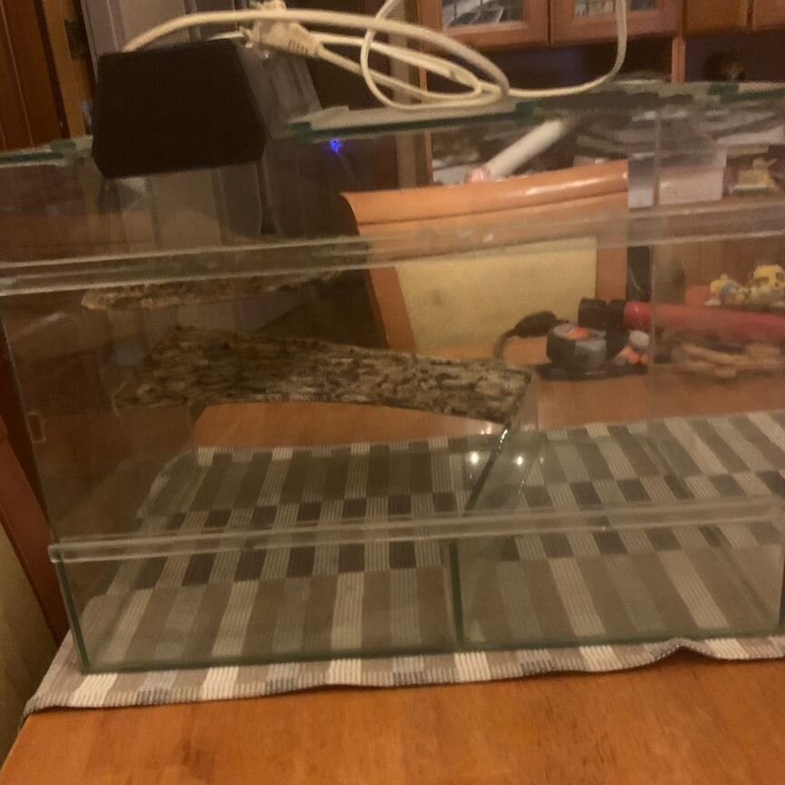 Террариум для змеи бу