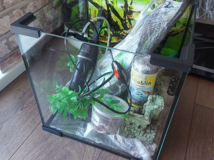 Аквариум с рыбками