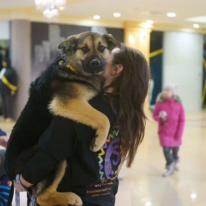 Заберите Рэечку из приюта