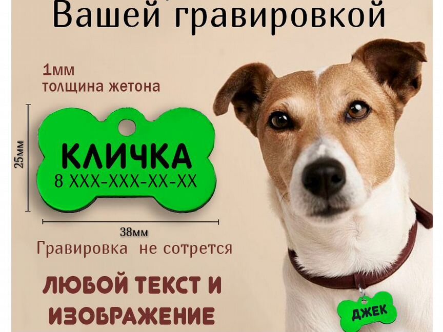 Адресник для собаки с гравировкой большая зелёная