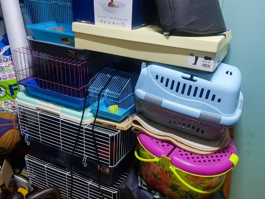 Клетка для грызунов бу