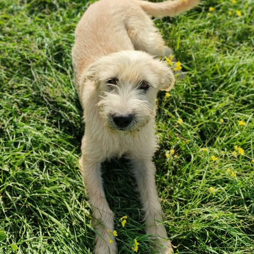 Надеюсь вы за мной