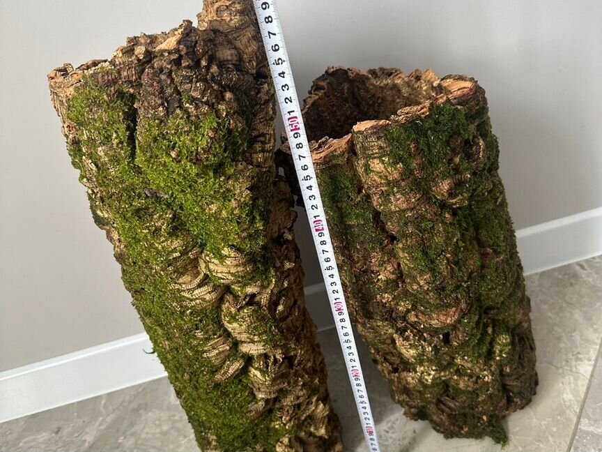 Кора пробкового дуба