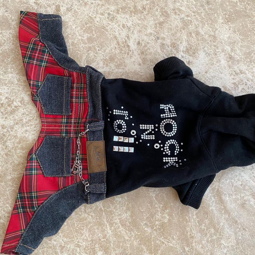 Костюм для маленькой собачки