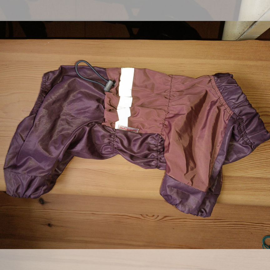 Одежда для собак мелких пород девочка