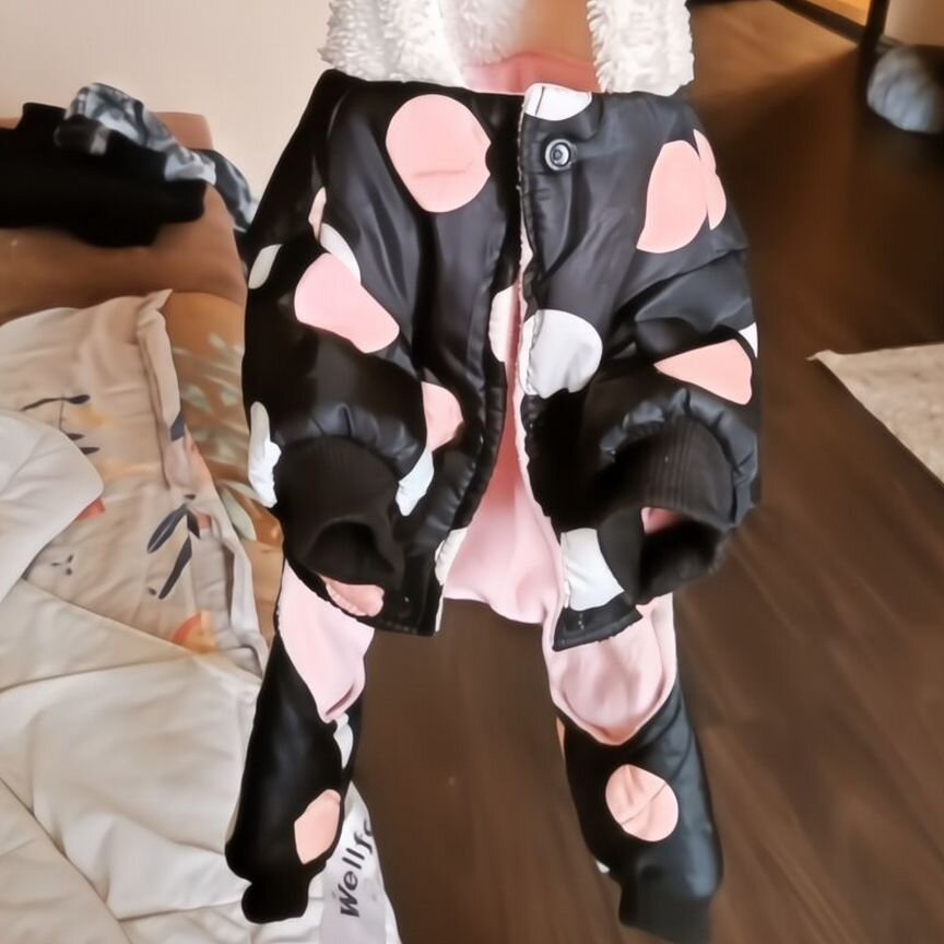 Одежда для маленьких собак