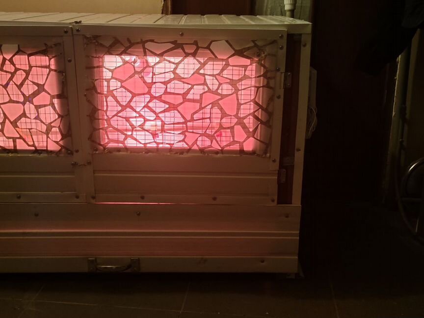 Брудер для цыплят, перепелят, индюшат, бройлеров