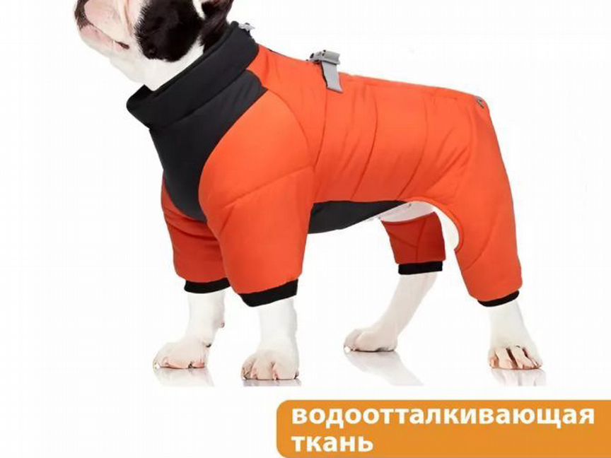 Одежда для собак