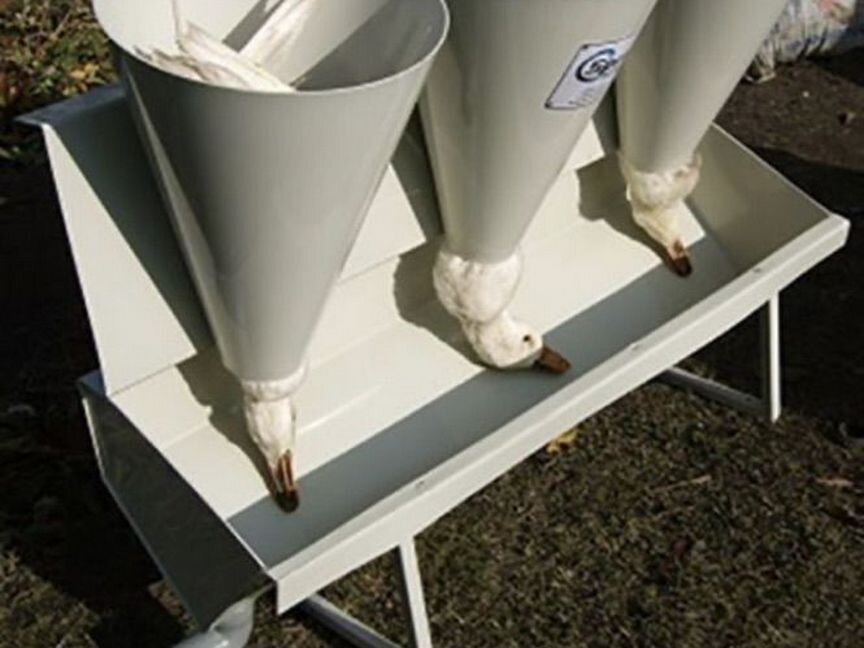 Стойка для убоя бройлеров с конусами