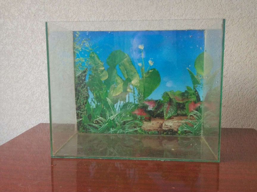 Аквариум