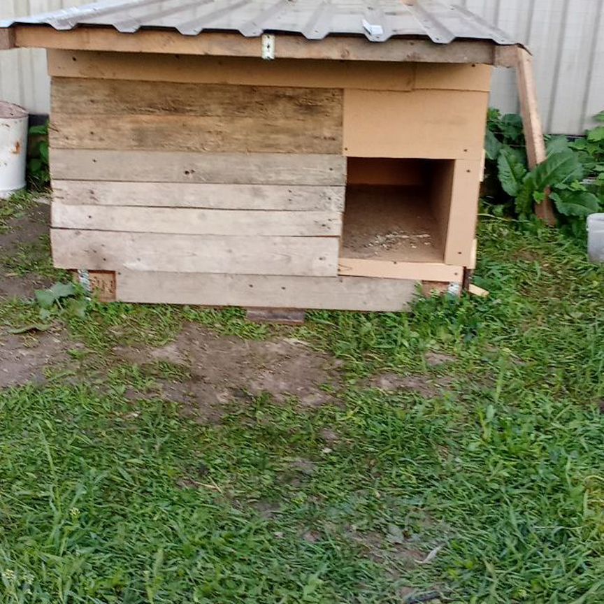 Будка для большой собаки утепленная