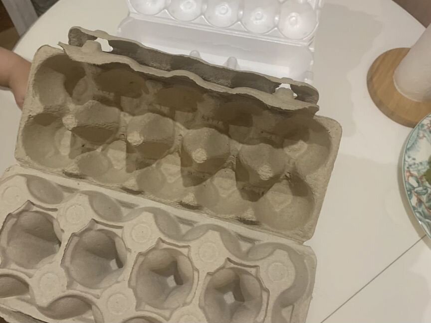 Яичные лотки