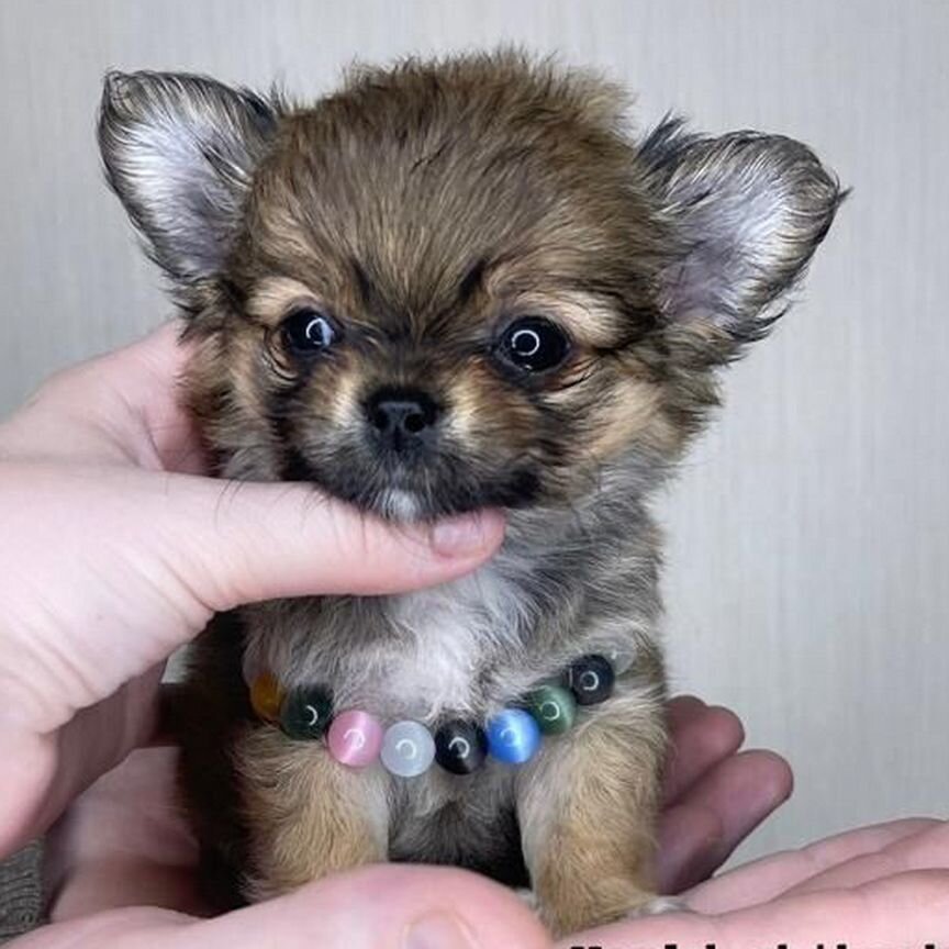 Малыш Один На Миллион