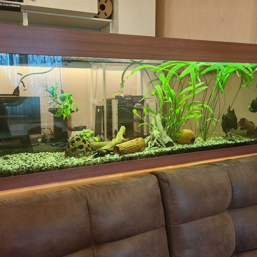 Аквариум "Биодизайн" изготовлен на заказ