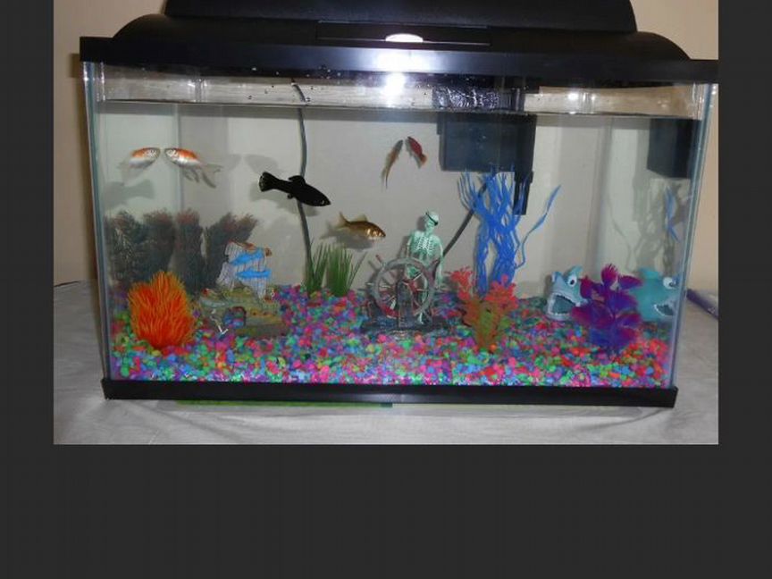 Продам аквариум с рыбками на 60л