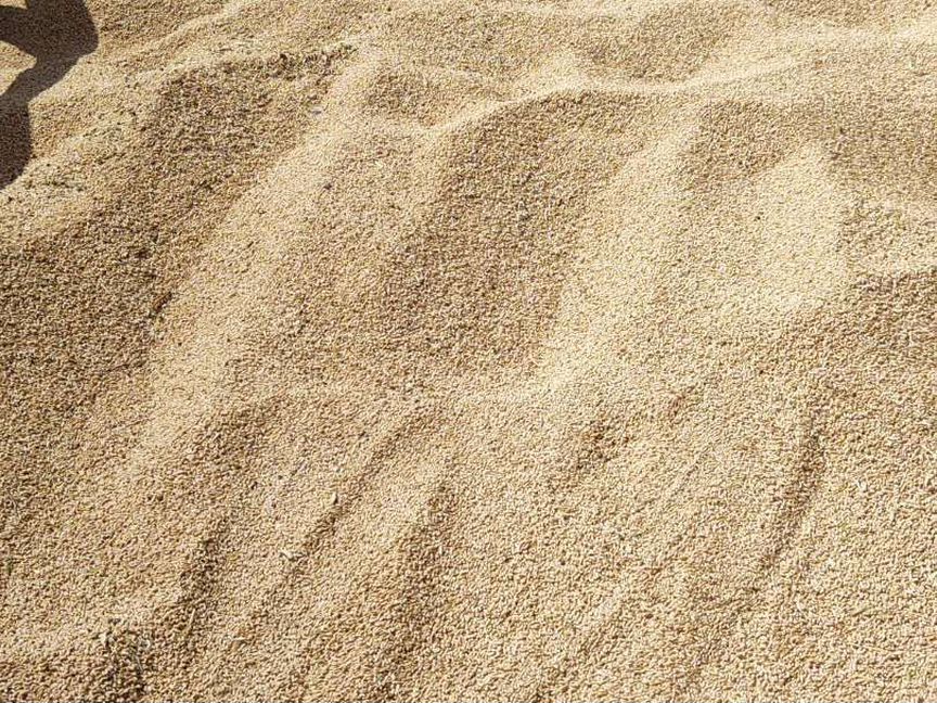 Дробленка пшеница,ячмень