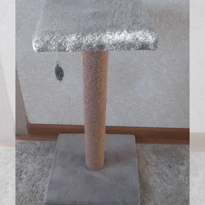 Когтеточка