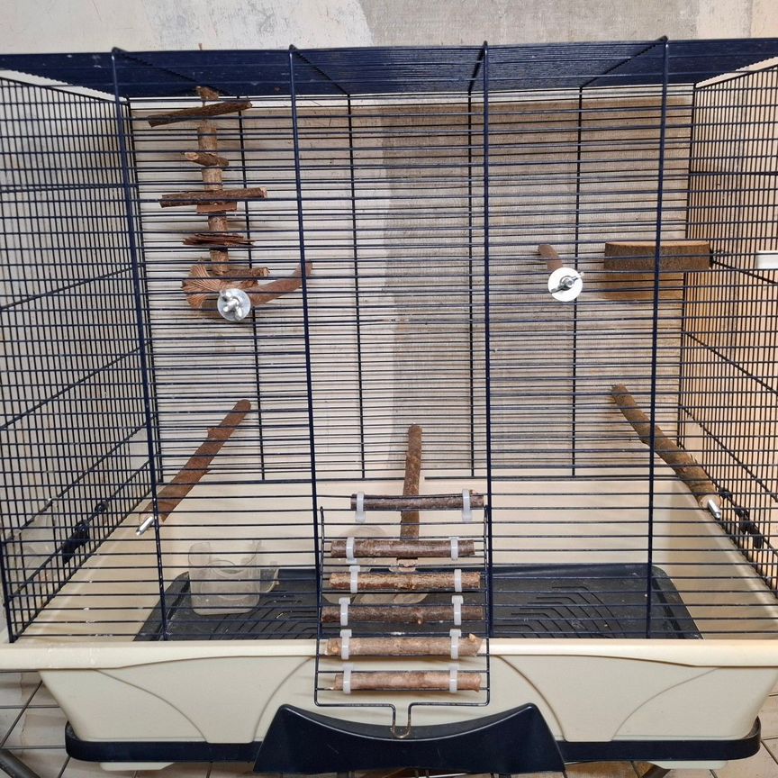 Клетка savic Primo 50