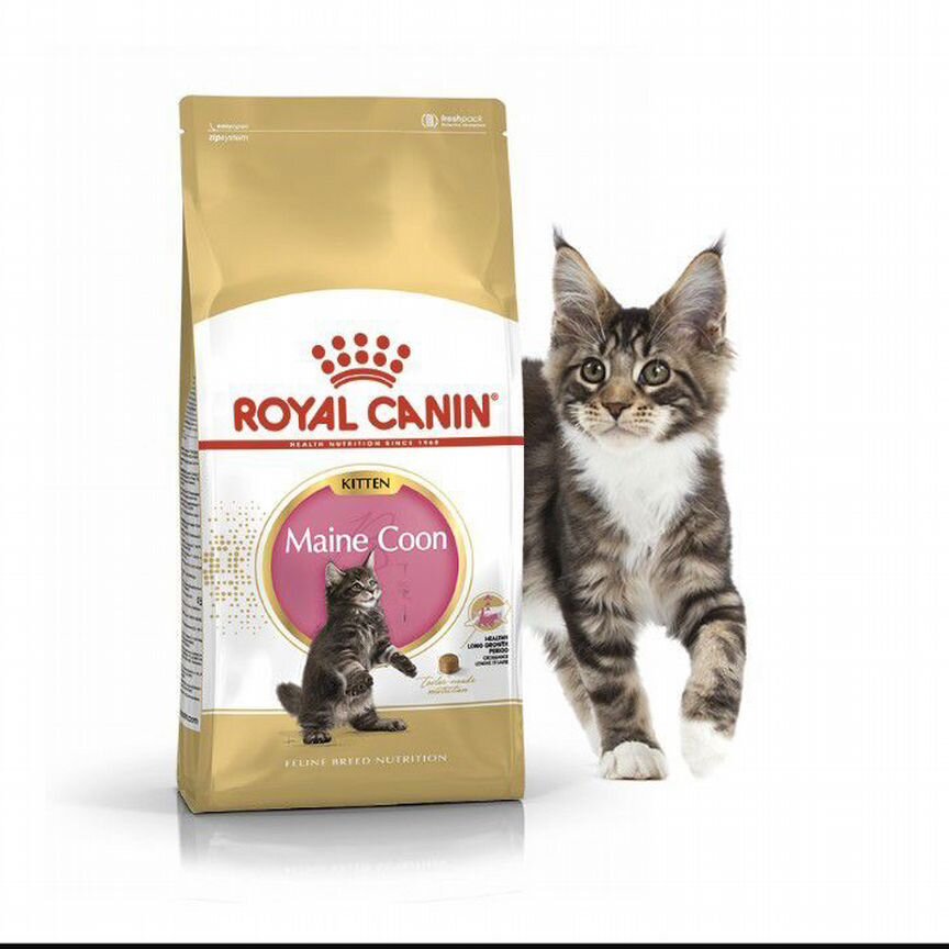 Сухой корм для котят royal canin Мейн кун 14 кг
