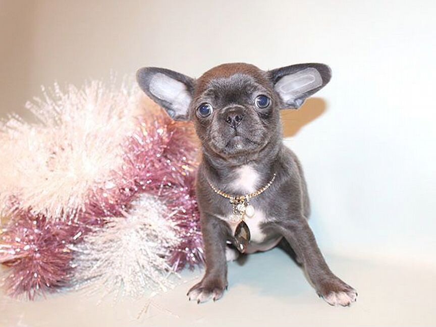 Девочка в голубом окрасе