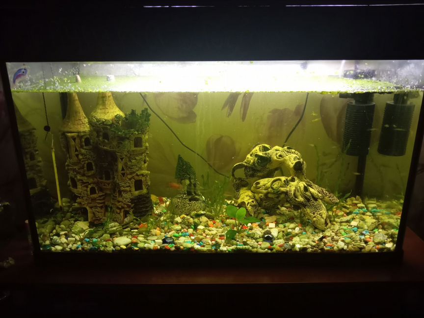 Аквариумы б/у