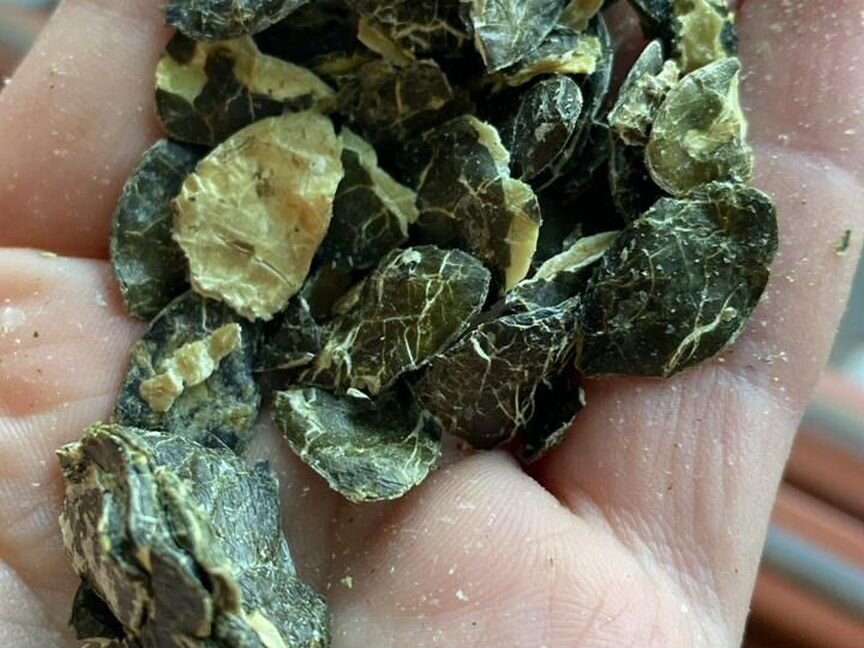 Жмых тыквенный