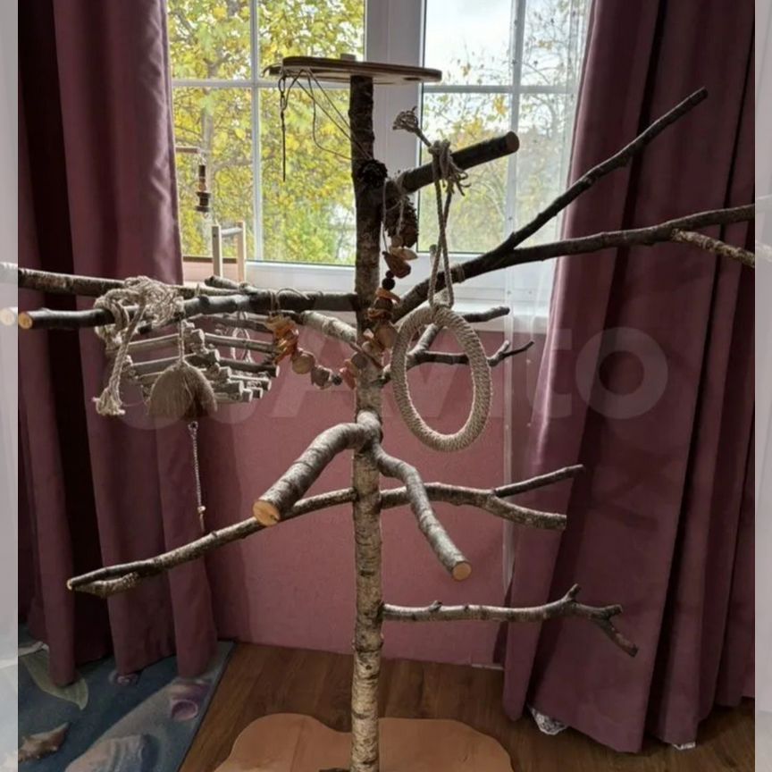 Присада - стенд для попугаев. Мастер Volare