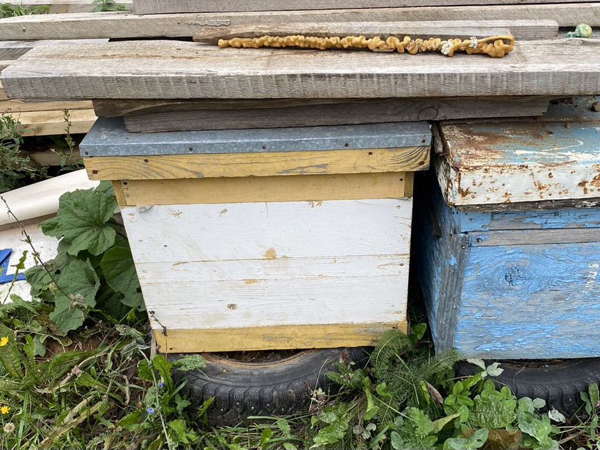 Ульи для пчел