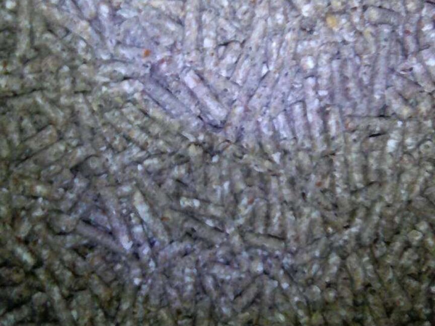 Корм витамин шиншил кролик хомяк крыса коза нутрия