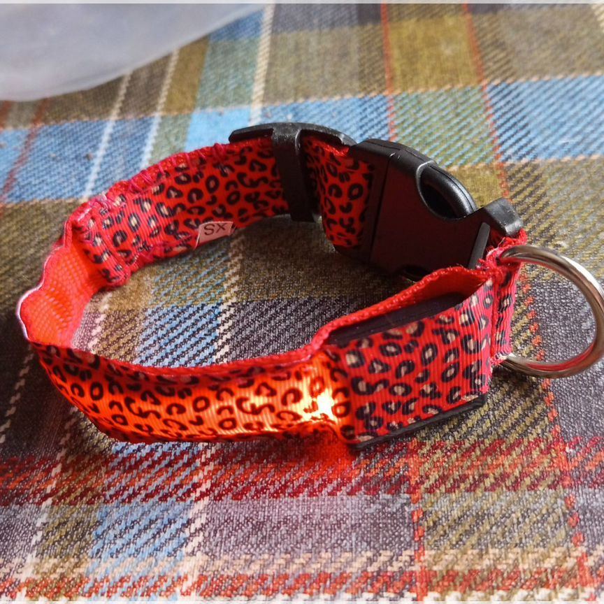 Ошейник XS светяйщийся