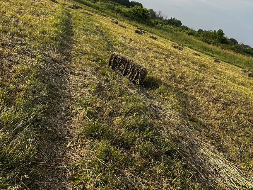 Сено луговое в тюках